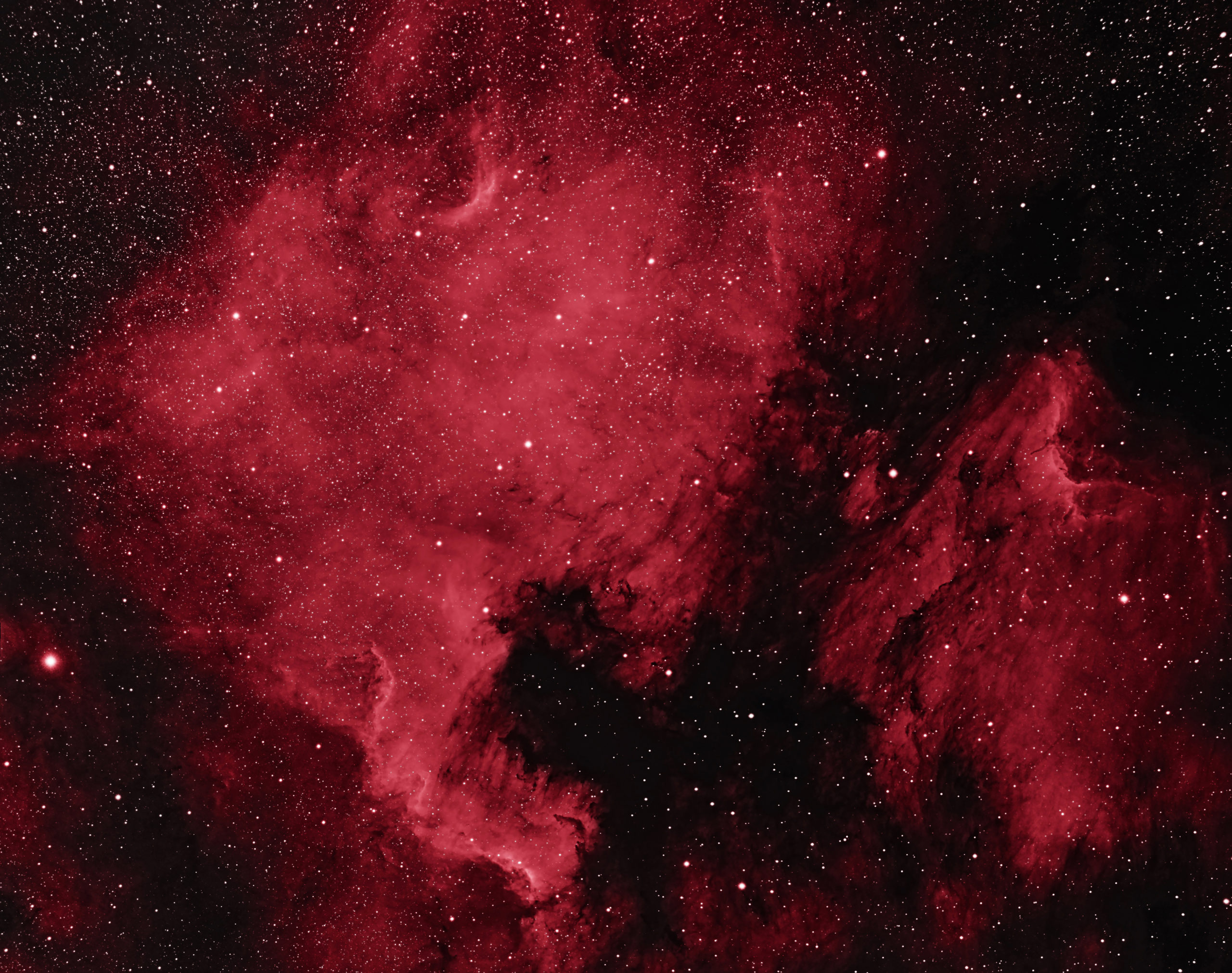 Cygnus the swan - RocketSTEM