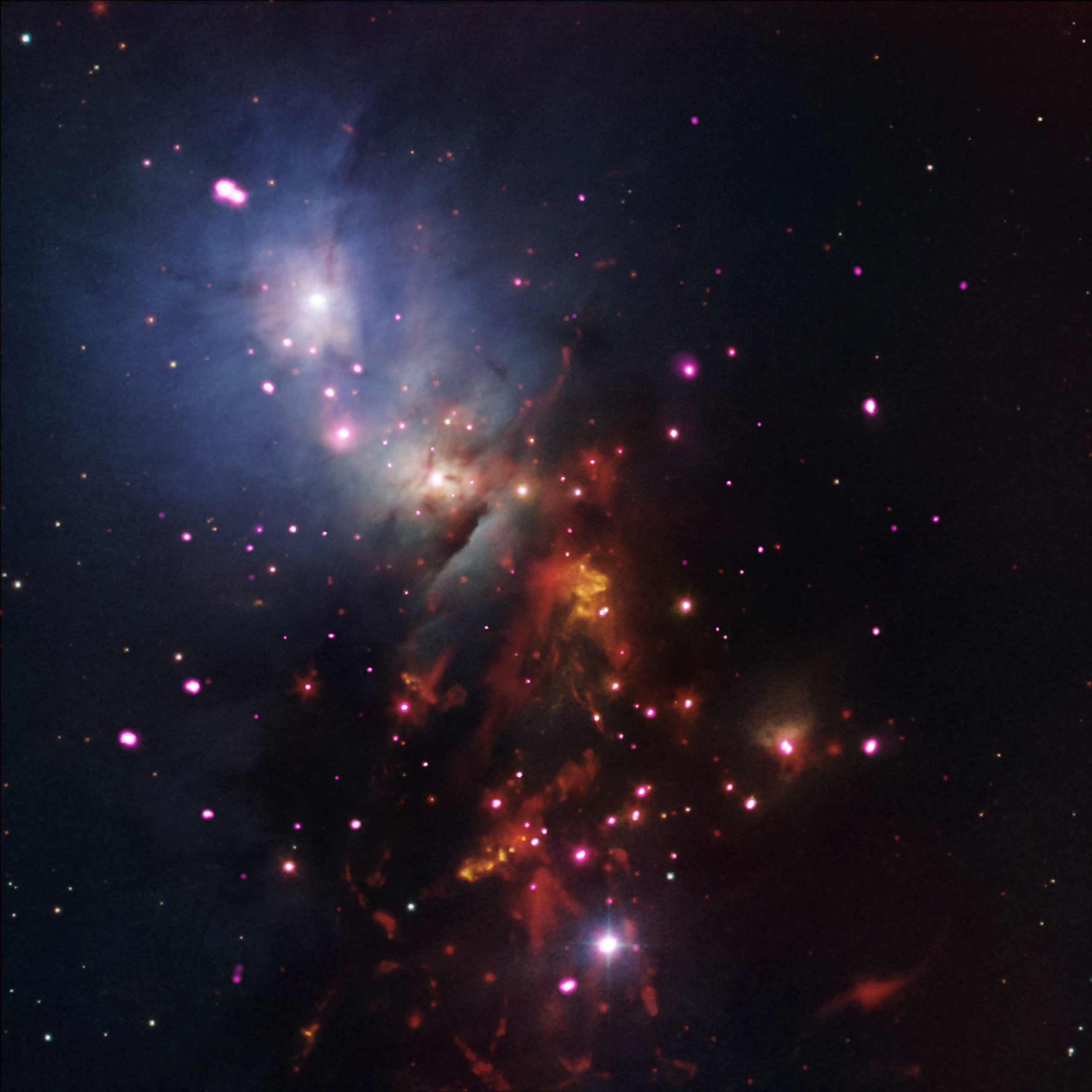Beginner's Guide to Astronomy - RocketSTEM