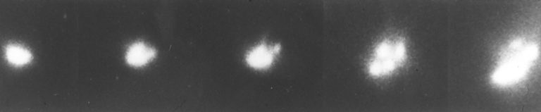 Comet of the Week: West 1975n - RocketSTEM