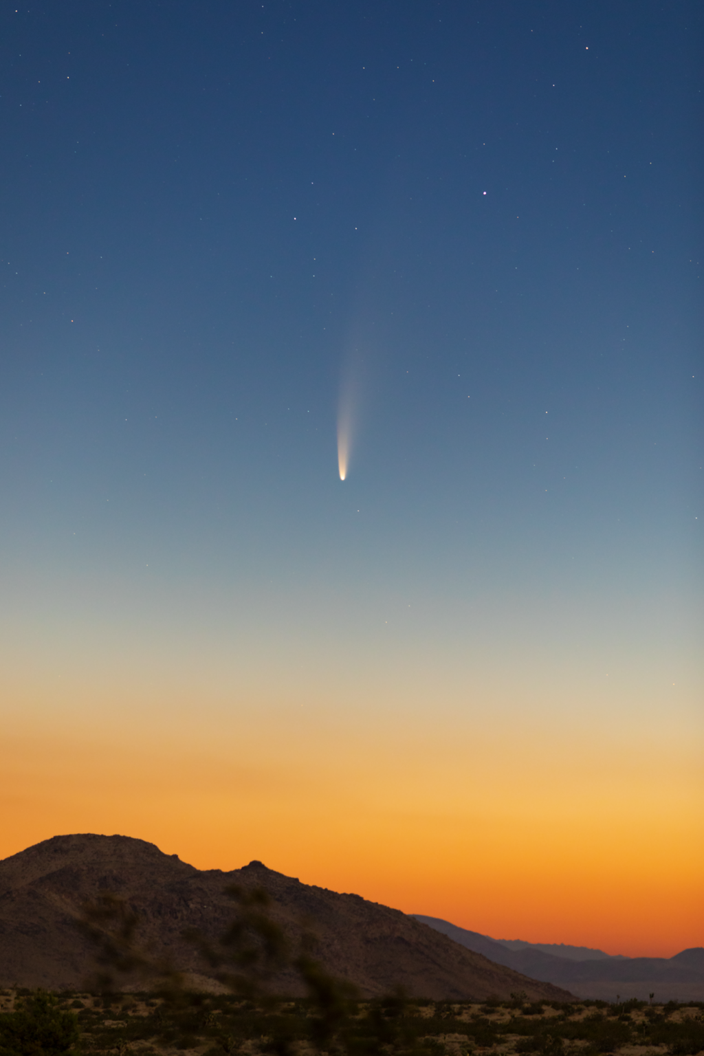 Comet of the Week: NEOWISE C/2020 F3 - RocketSTEM