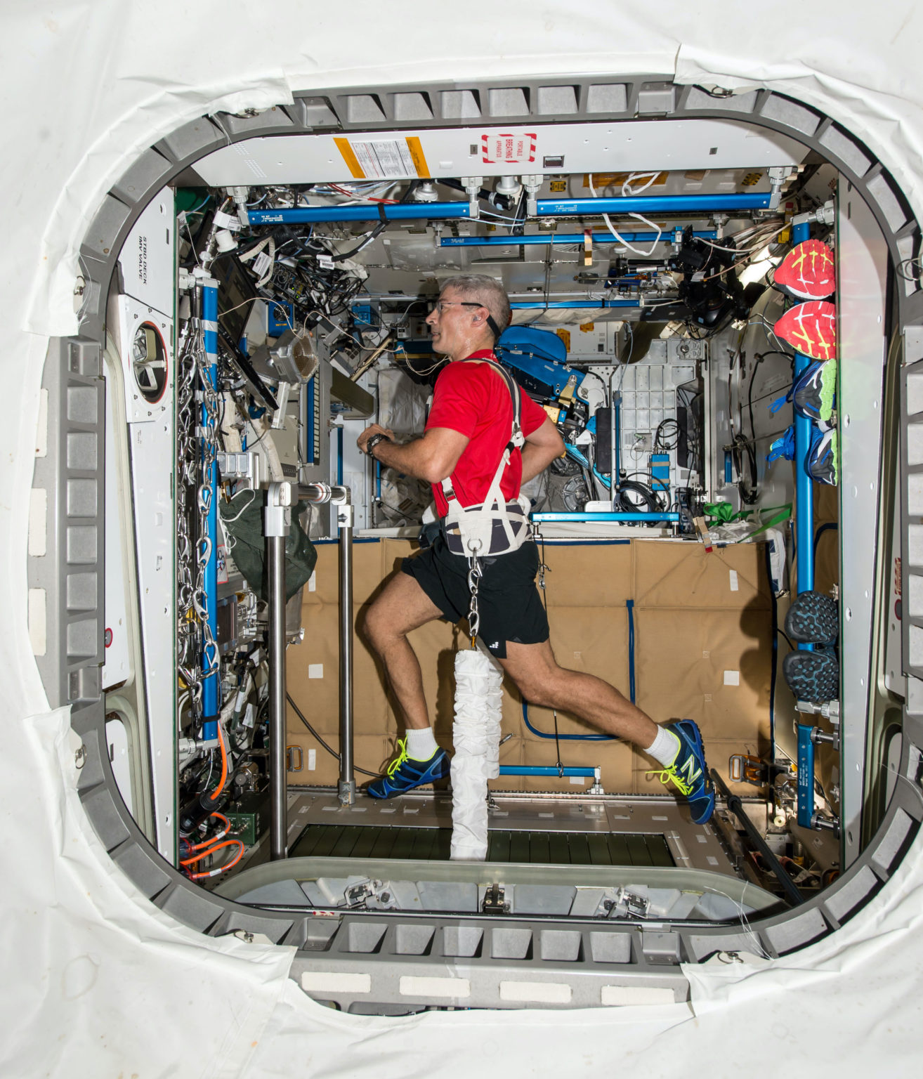 Check out these experiments on the International Space Station - RocketSTEM